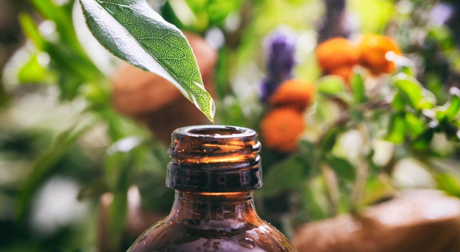 Essential Oils - Indo Bio Organics